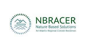 NBRACER Technical Day: Nature-Based Solutions for Climate Change ...